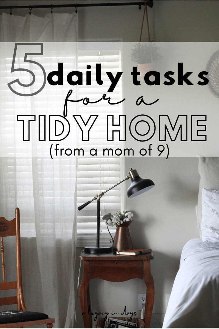 5 daily tasks for a tidy home - A Legacy In Days